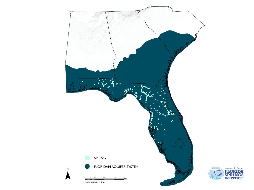 About the Aquifer & Springs – Blue Water Audit